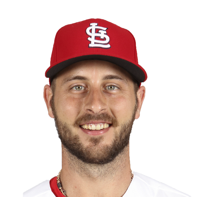 Paul DeJong Player Profile News, Stats and More | SIA Insights