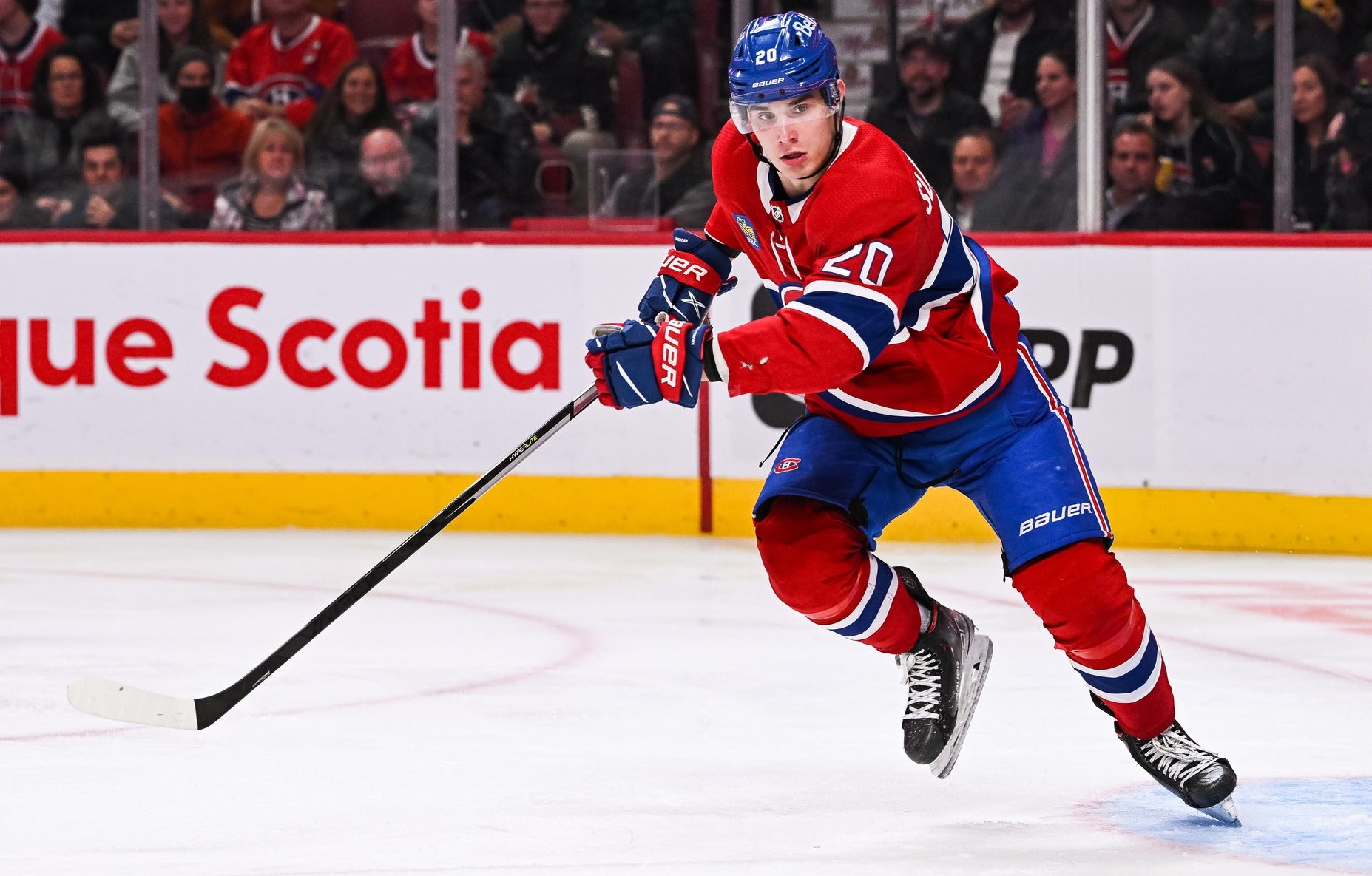 Dallas Stars vs. Montreal Canadiens Prediction, NHL Odds | Sports ...