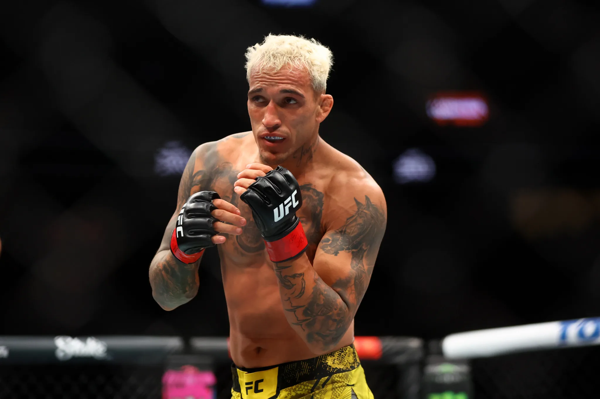 UFC Rio Oliveira vs. Gamrot: MMA Odds, Predictions and How to Watch ...